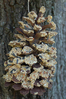 How to Make Squirrel & Bird Treats with Magical Pine Cones