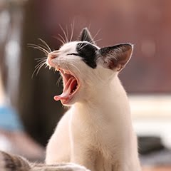 Det moderna klassrummet