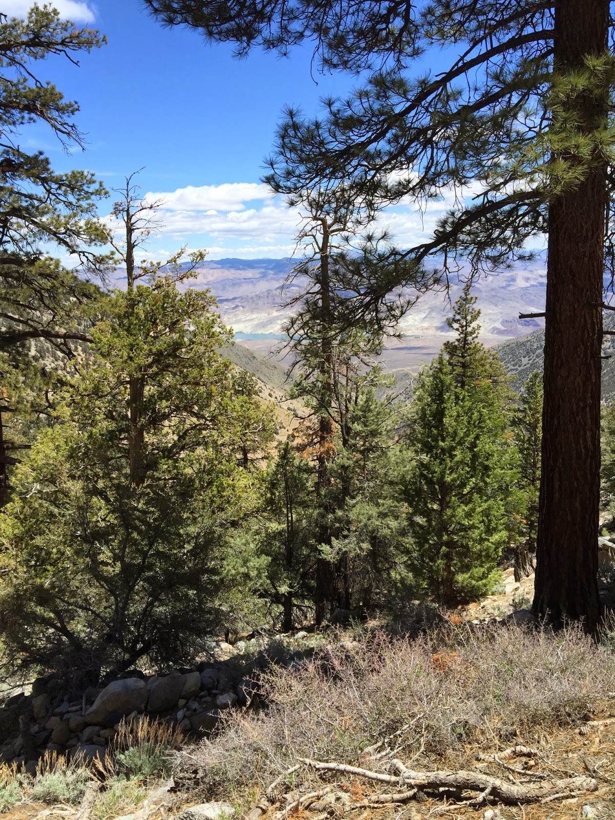 Binoculars in the Backcountry: Haiwee Pass Adventure
