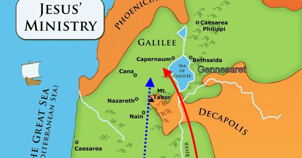 Just a Simple Sheep: Revealing True Identity