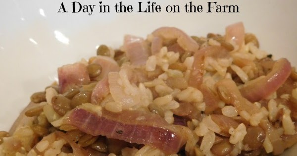 A Day in the Life on the Farm: Mujaddara, Majadara, Majadra, Mejadra ...