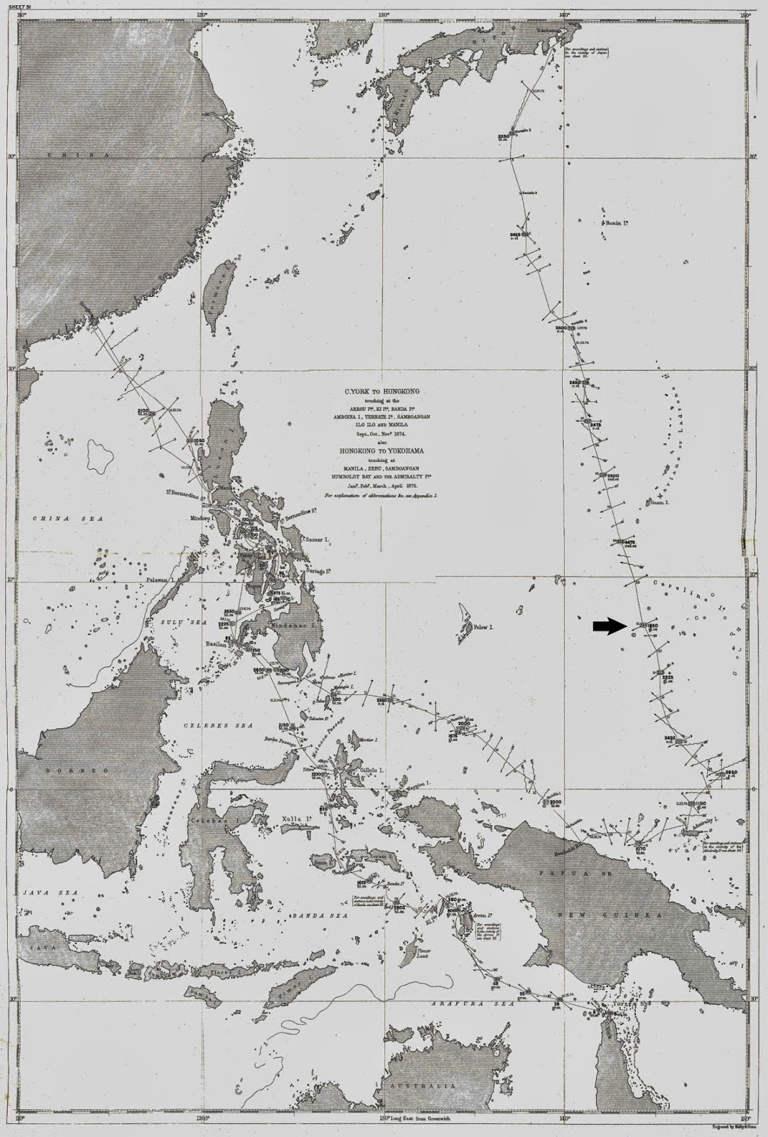 Fossils and Other Living Things: Globigerina Ooze from the H.M.S ...