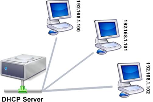 DHCP DAN DNS ~ KOMPUTER JARINGAN