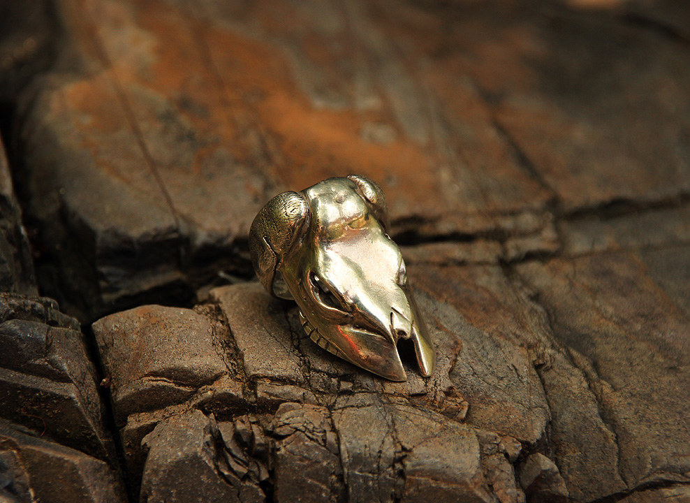 Alex Streeter Oddities: 2014