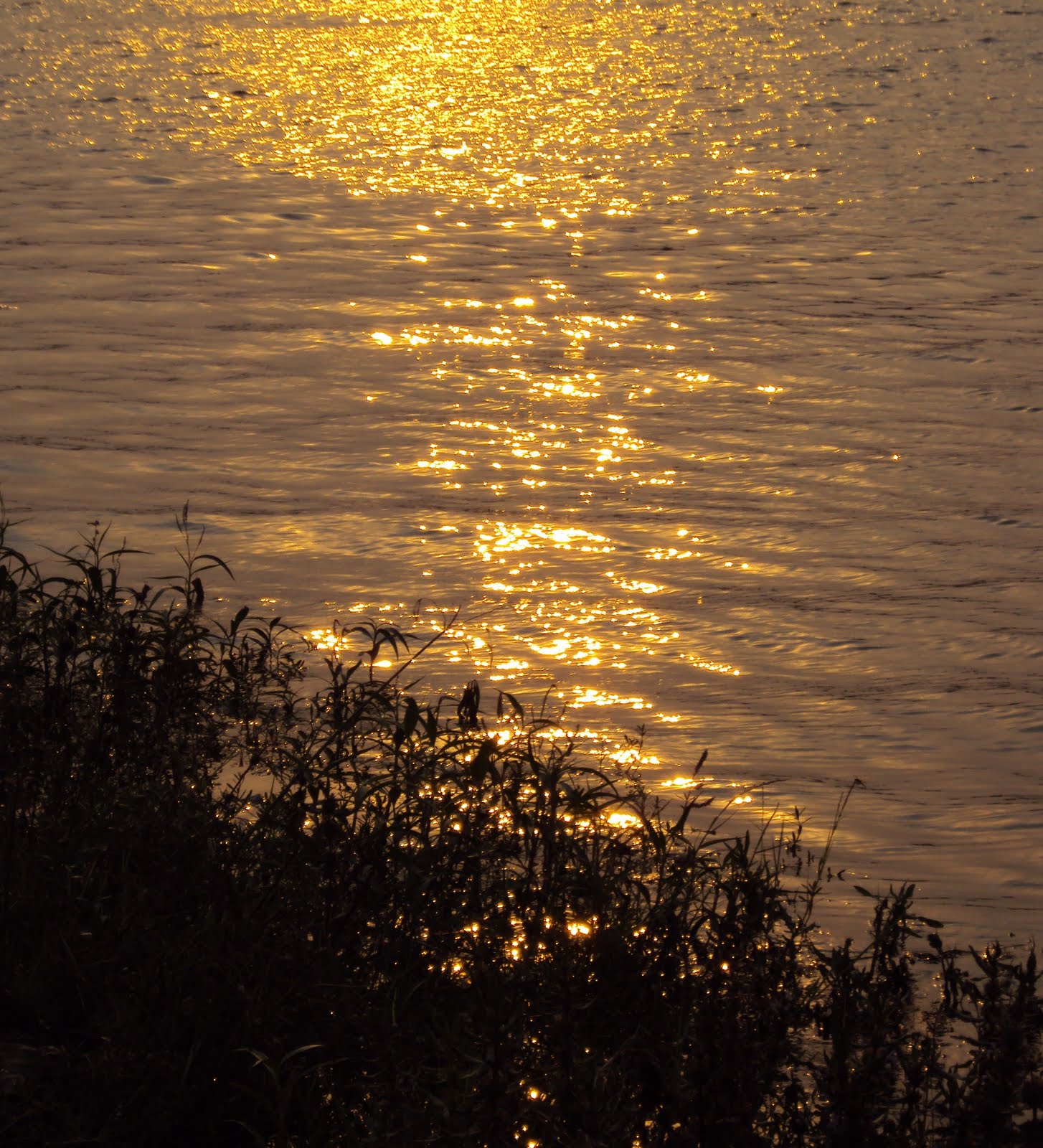 MY PERSPECTIVE: An Evening in Khadavli