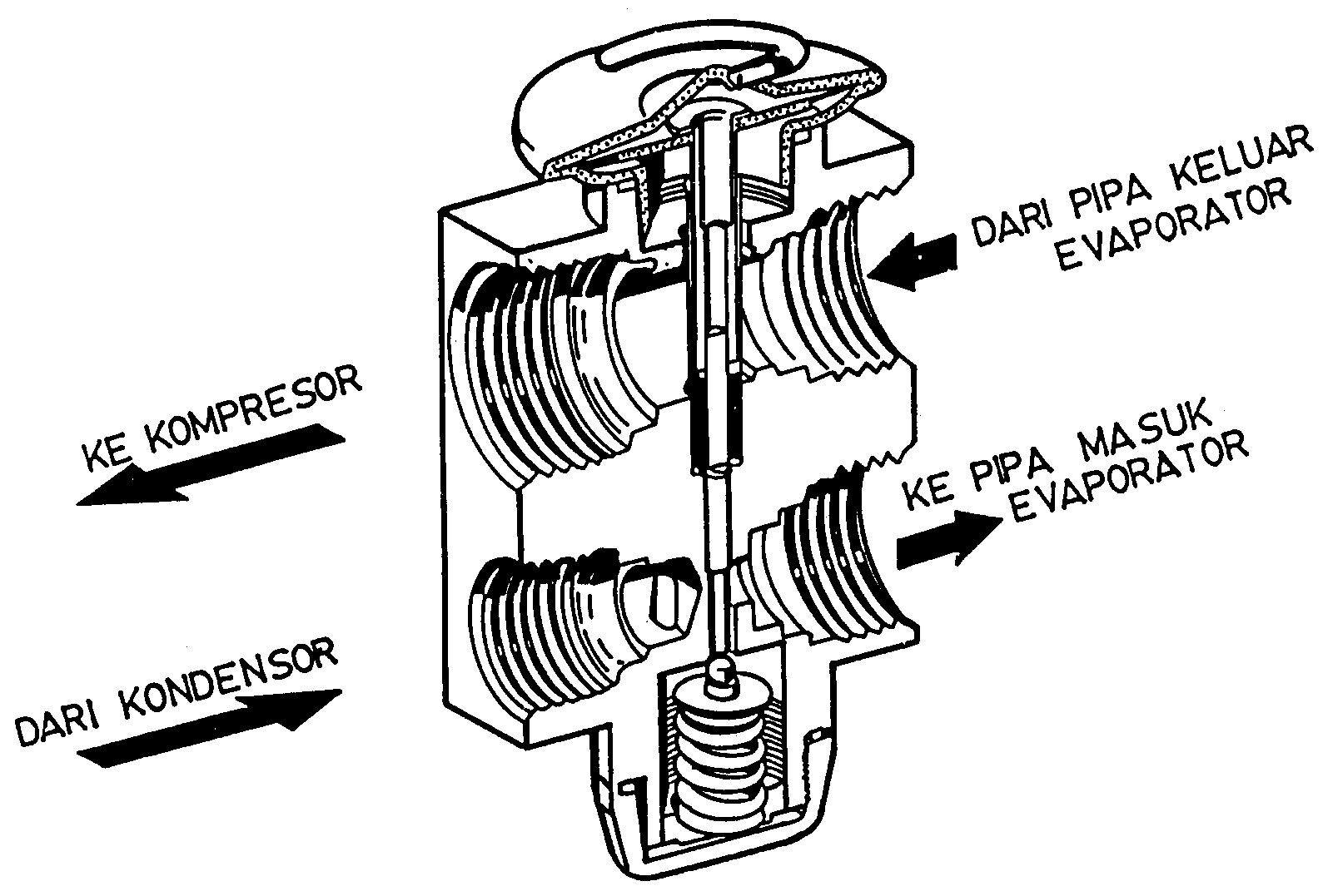 Evaporator & Katup Ekspansi | * S . S . P