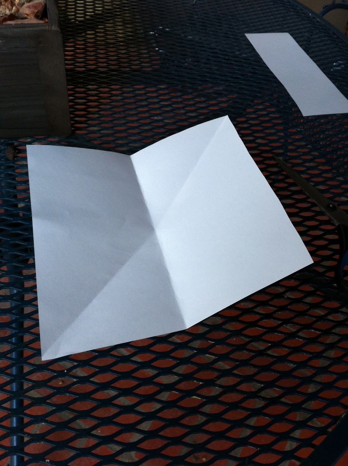 Little Birdie's Blog