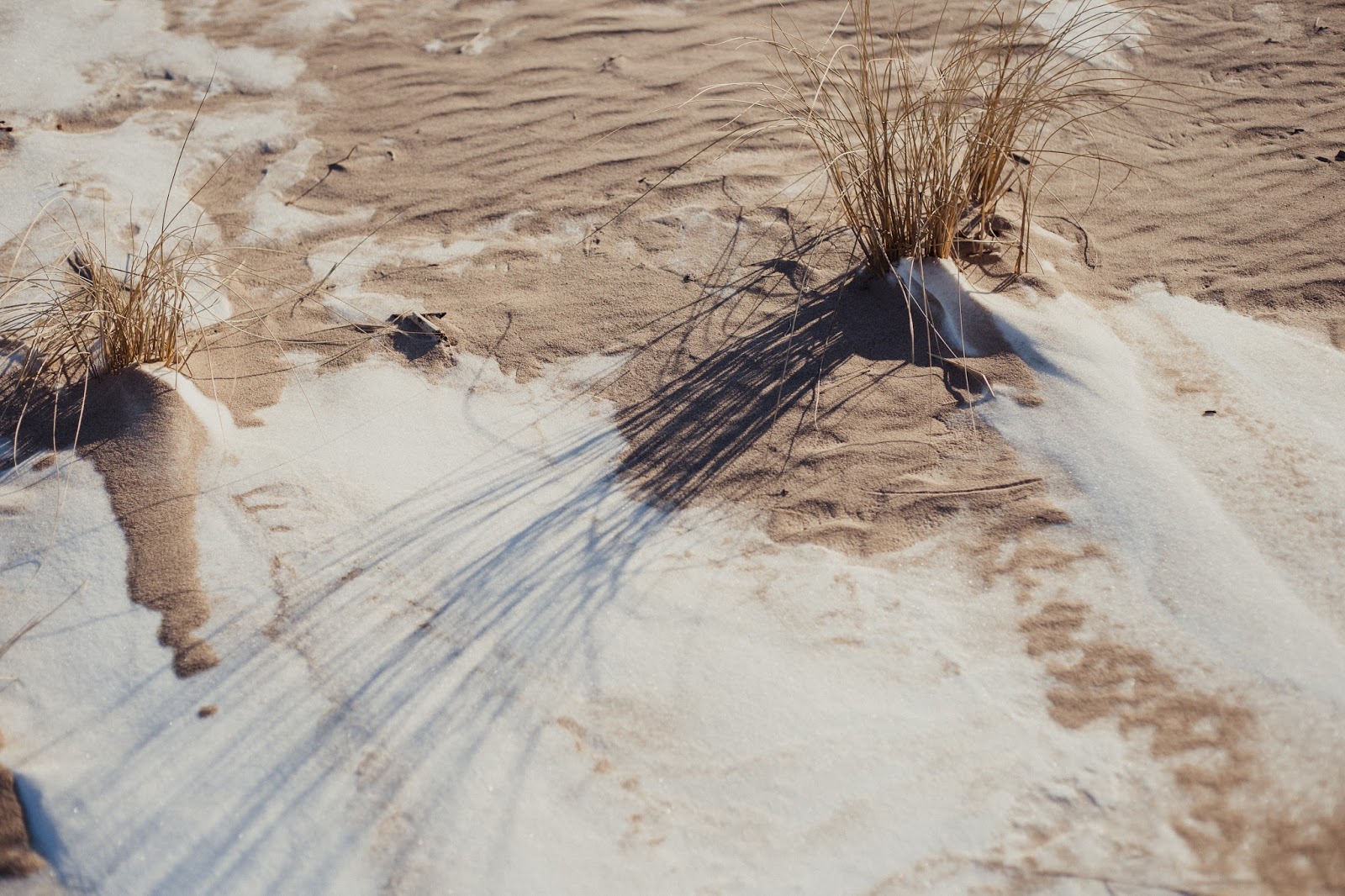 Gauja ietek jūrā || Idejas brīvdienām - Sandija Veipa