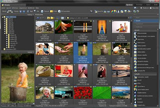 bucudava.blogspot.com: 2011