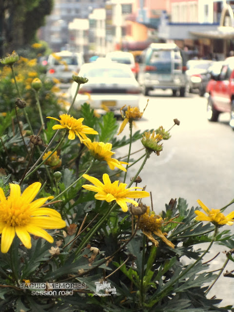 Session Road: Baguio Restaurants and More - Travex Travels - Travel ...