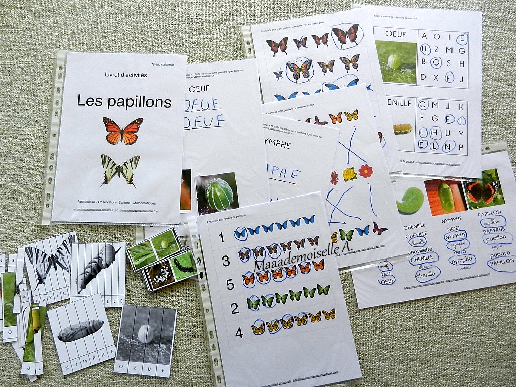 Maaademoiselle A.: || Nos activités sur les papillons