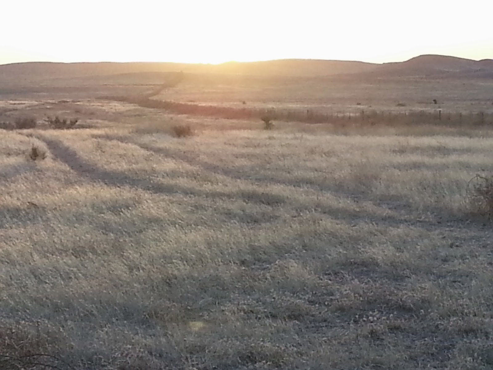 Texas Mountain Trail Daily Photo: Waning Sun on the Marfa Grasslands