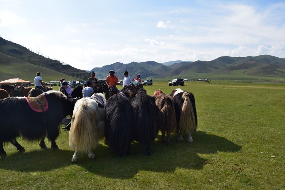 Old Bones and New Adventures: 5 Days of July - Day 2: Yak attack!