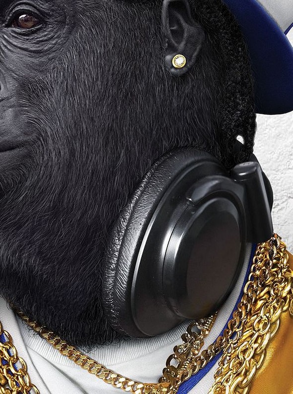 Softly Elegant Modern Day Monkeys | Wonderful from all over ...