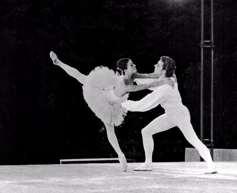 Dutch National Ballet: 47 Pictures That Capture Performing Dancers in ...