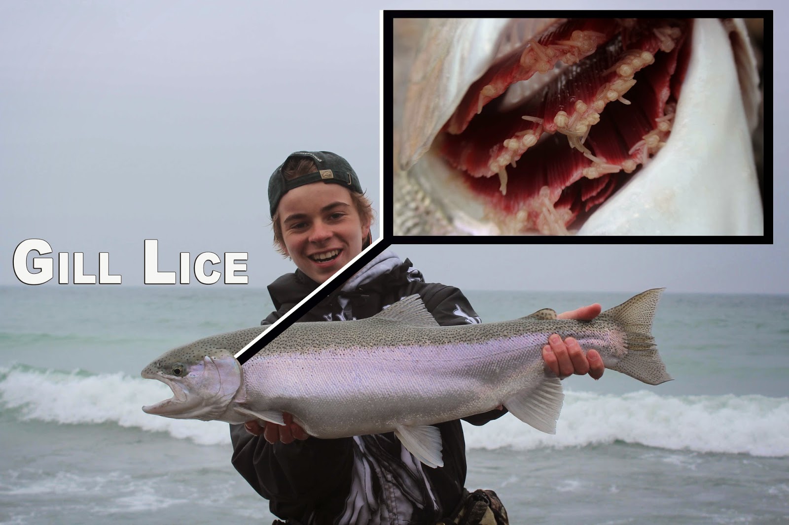On The Water With Cooper Gallant: Gill Lice