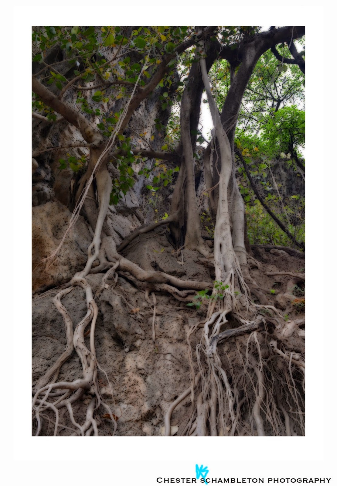 Both Hands Emerge as the Supreme Salvator: Rishikesh, India part 2 and ...