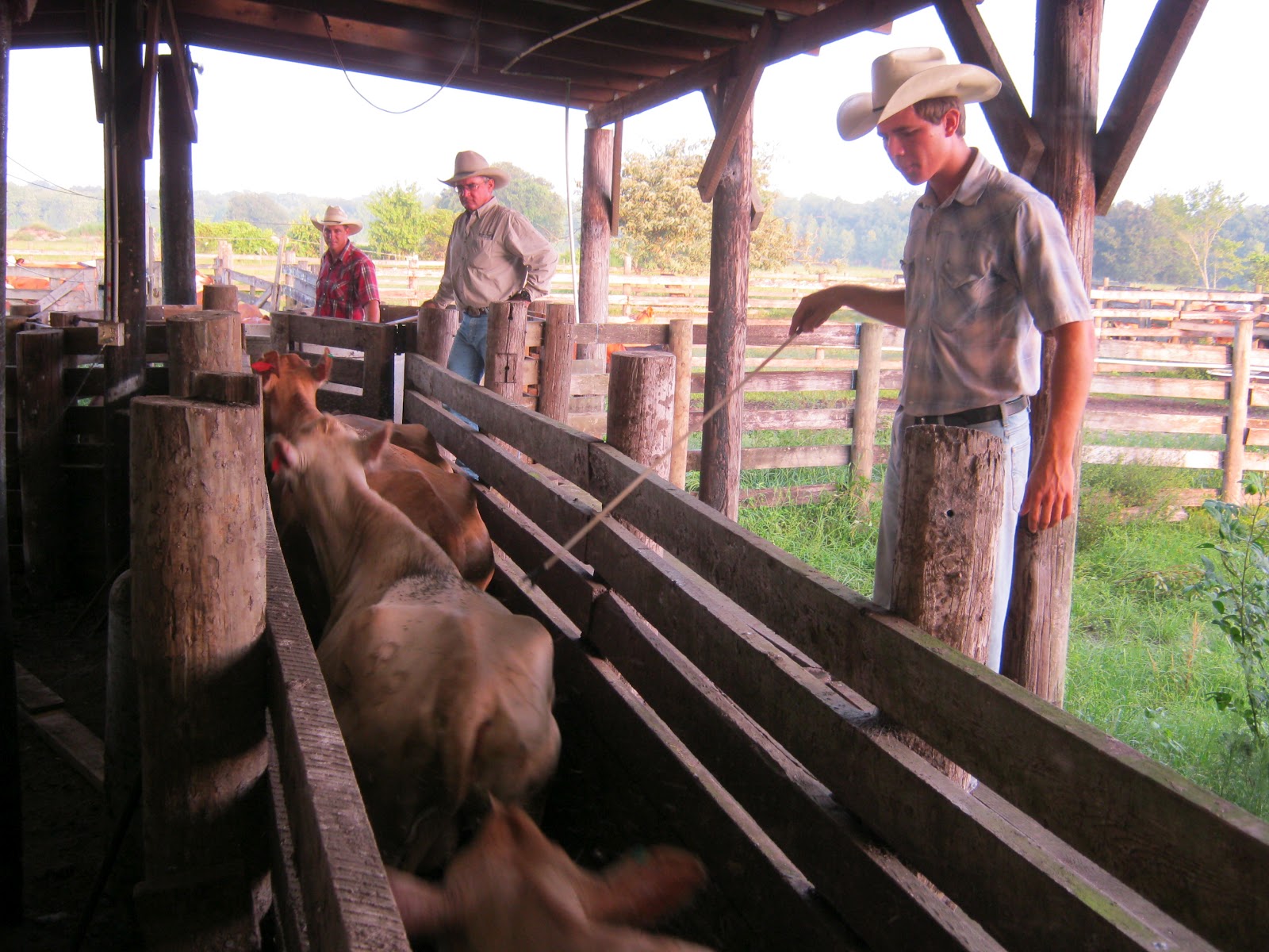 Kennedy Ranch Mission