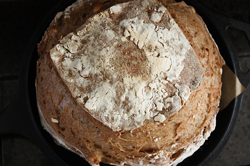 Tartine Bread Experiment: city bread, in stout