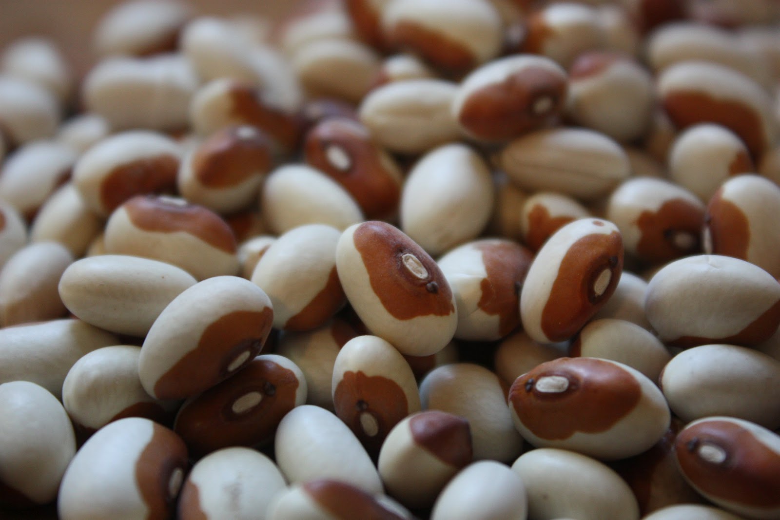 Maple chipotle baked beans