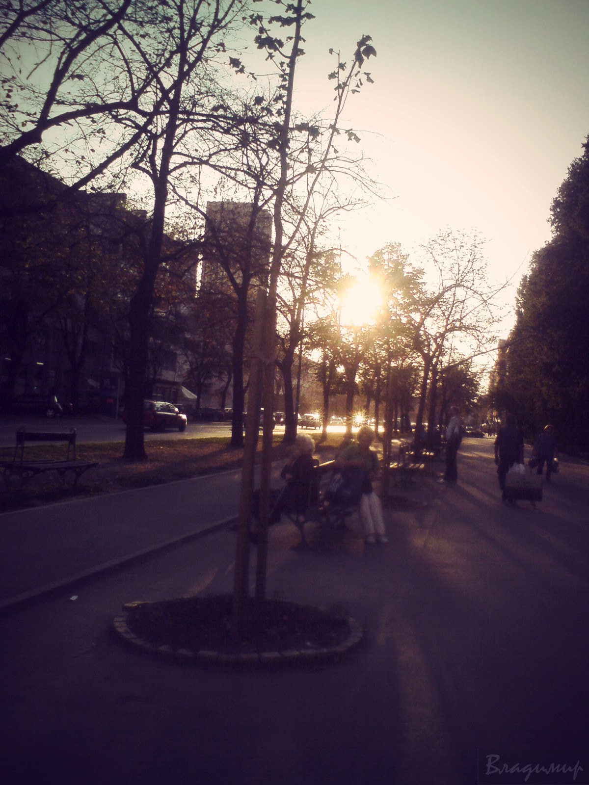 novi sad fotografije: Novi Sad centar grada fotografije