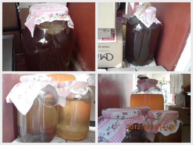 CIUPERCA KOMBUCHA: CIUPERCA KOMBUCHA