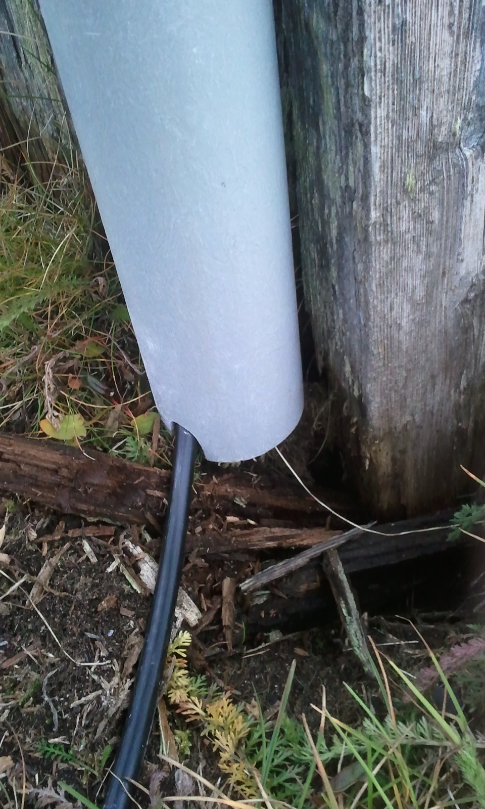 Arctic DX: The Mini-Whip - Erecting It And Initial Results