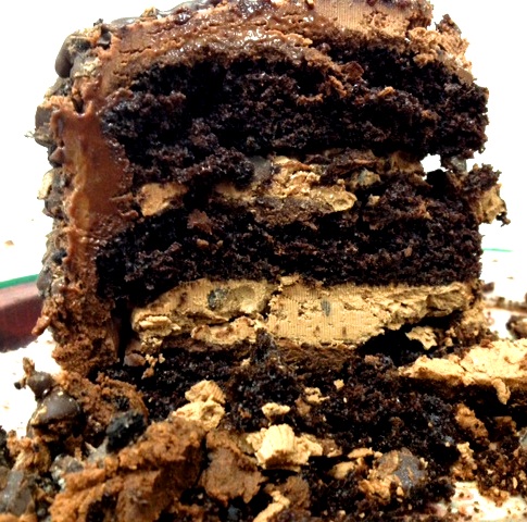 Jenny's Journal: The Choco-coma: The Ultimate Chocolate Cake