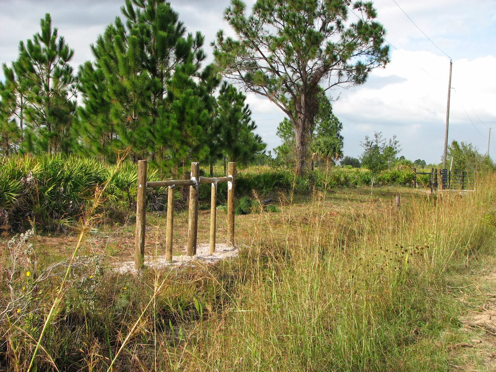 The Back Forty: Posts Post