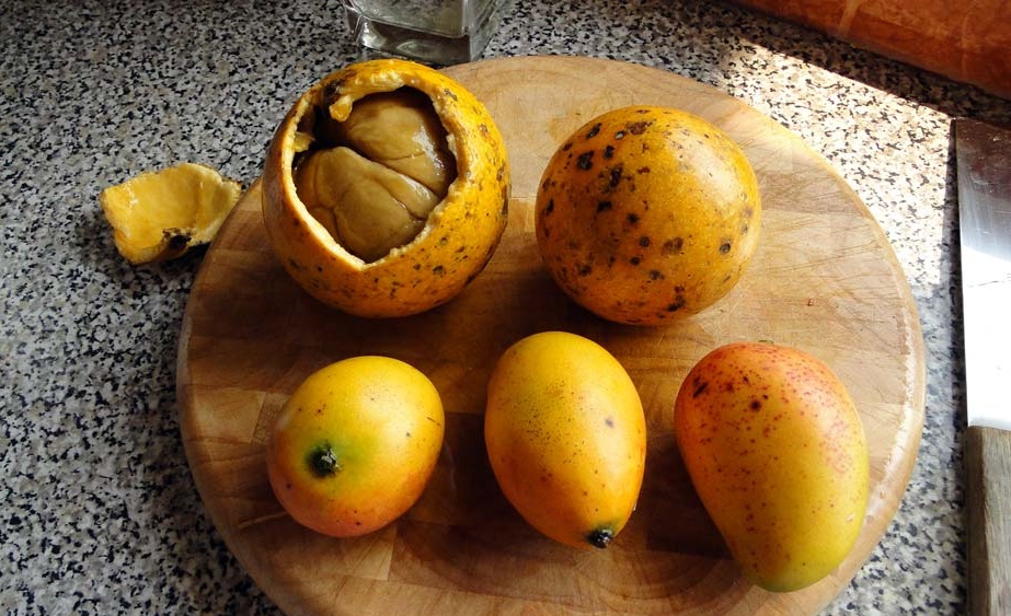 Pedaços de Mim: Frutos de Angola