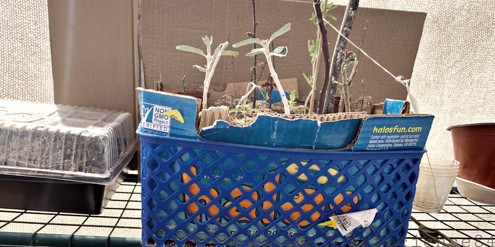 EARTH by artscience84