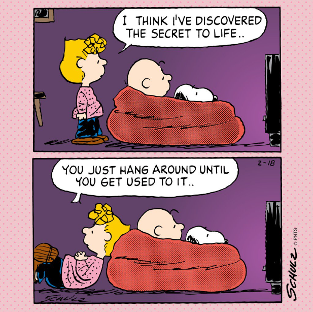 Blog do XANDRO: Tiras N°8379 : SNOOPY - Charles Schulz!