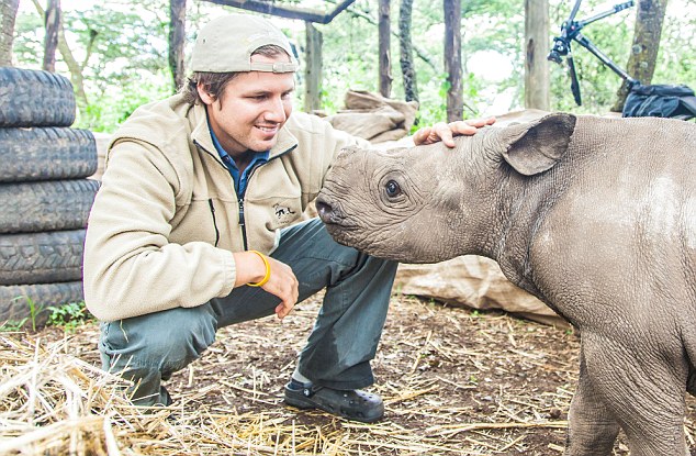 White Wolf : Blind baby rhino rescued by wildlife wardens after he is ...