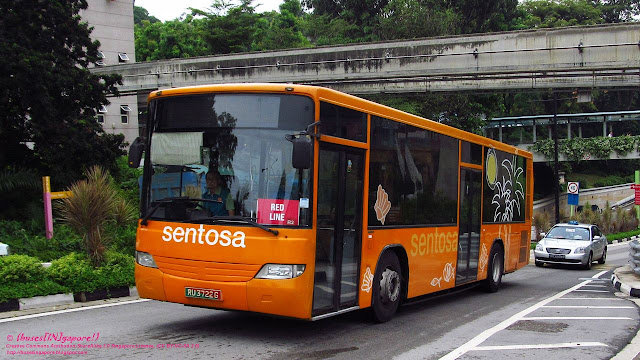 (buses[IN]gapore!): Sentosa buses' new livery!