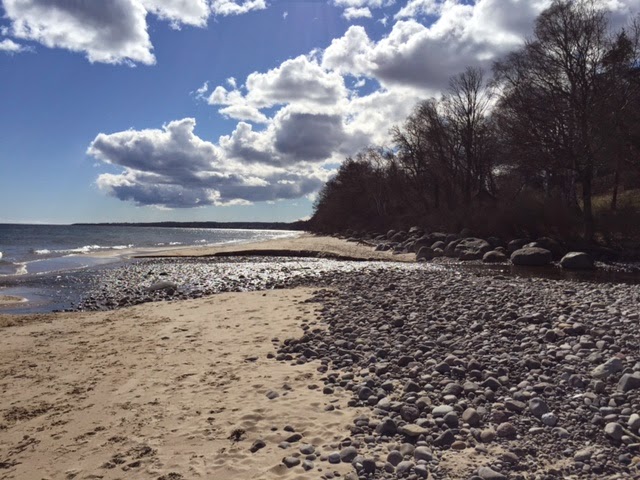 Astrid och spanska Agnes och några till!: Underbara Rörums strand
