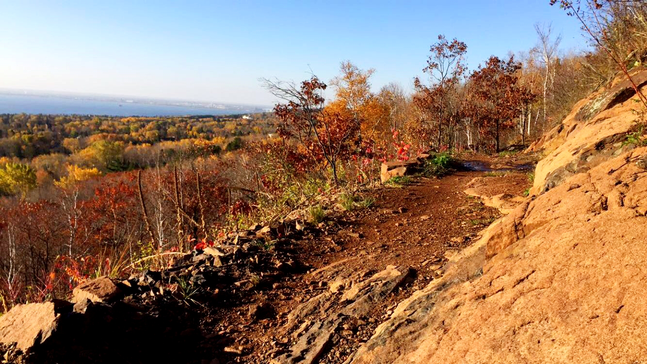 Run With the Wolfpack