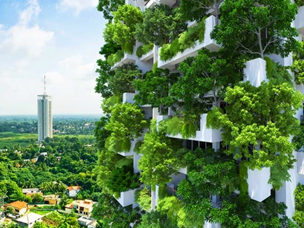 Cara Membuat Vertikal Garden | -Petani TOP-