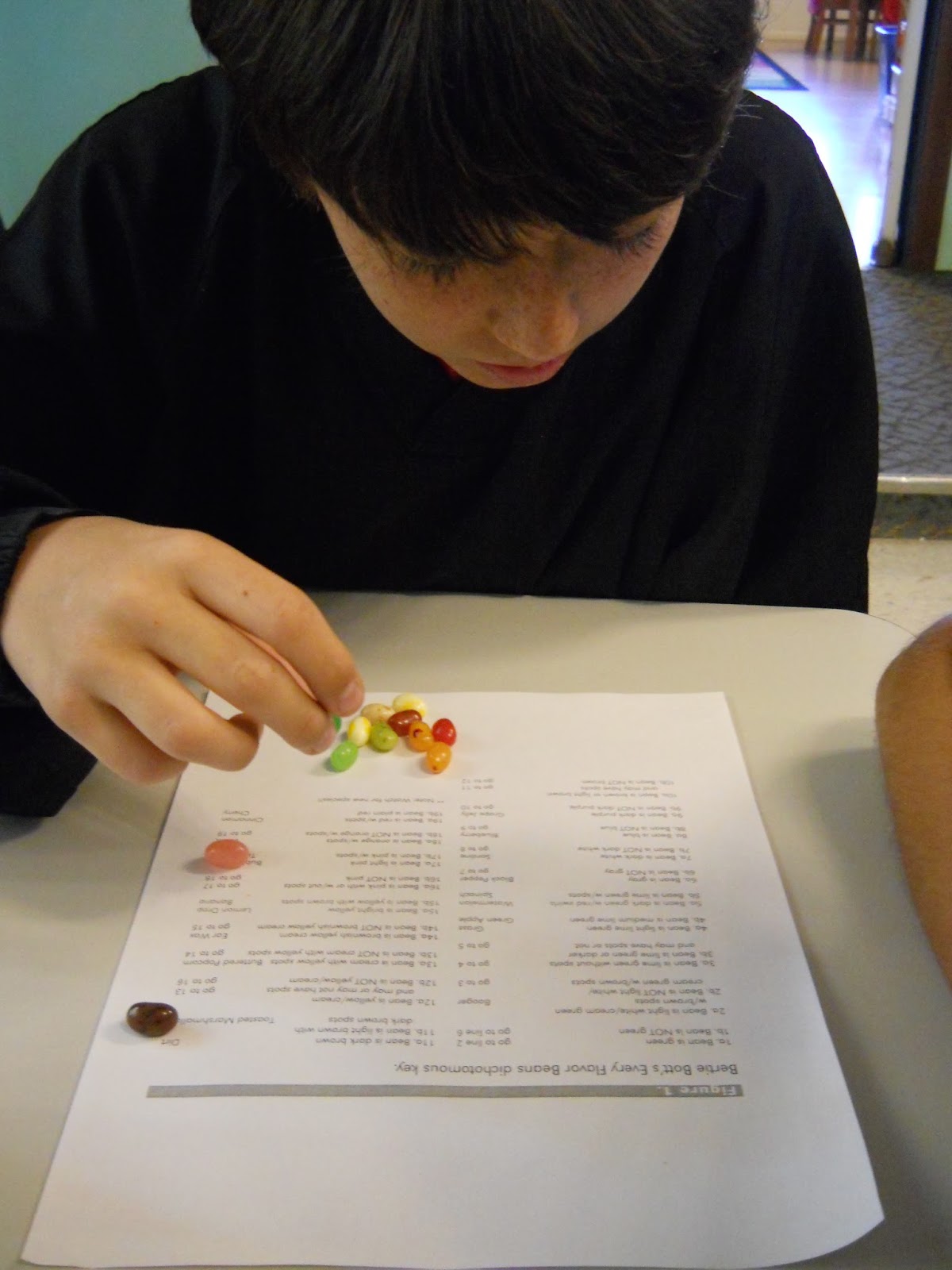 PCCS Science: Classification and Dichotomous Keys using Bertie Bott's ...