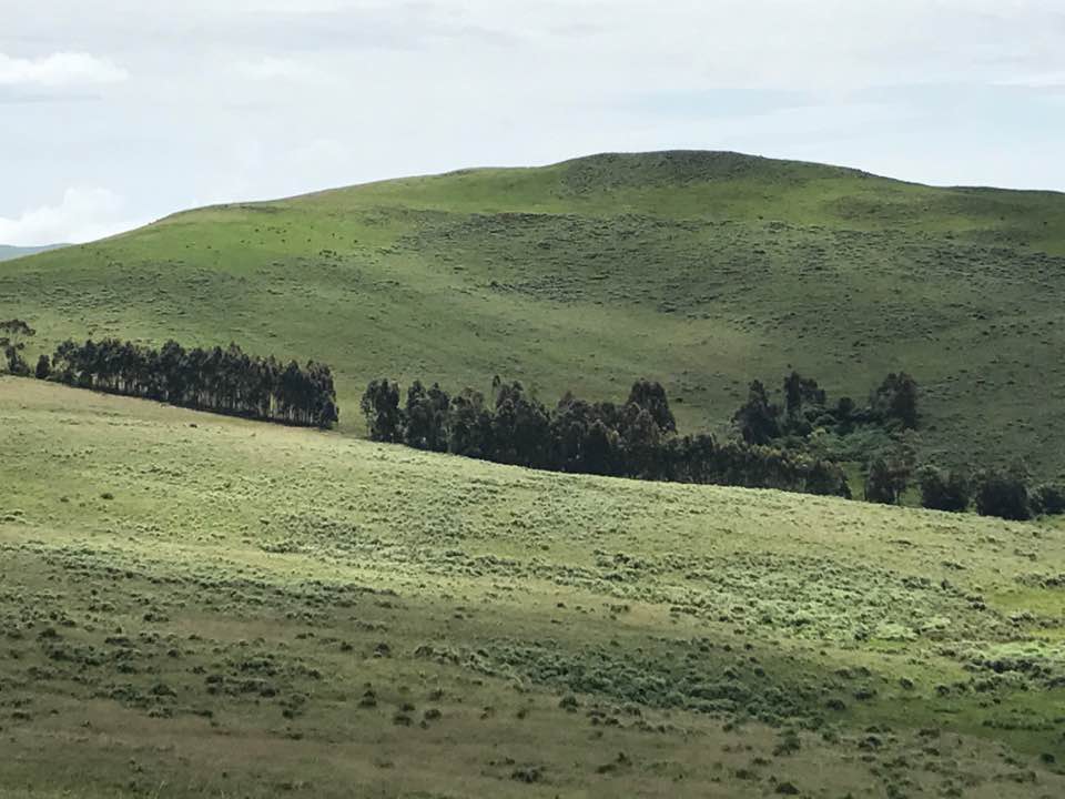 Inside Arewa News: Pictures from the Mambila Breathtaking Beautiful ...