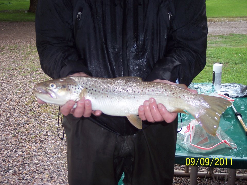 Mark Lein: Fishing The Chama River at El Vado Ranch