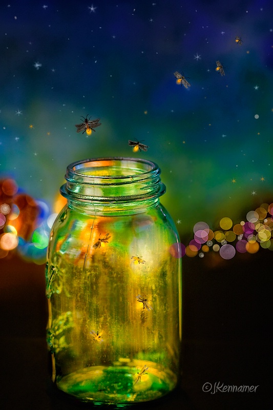 Fireflies