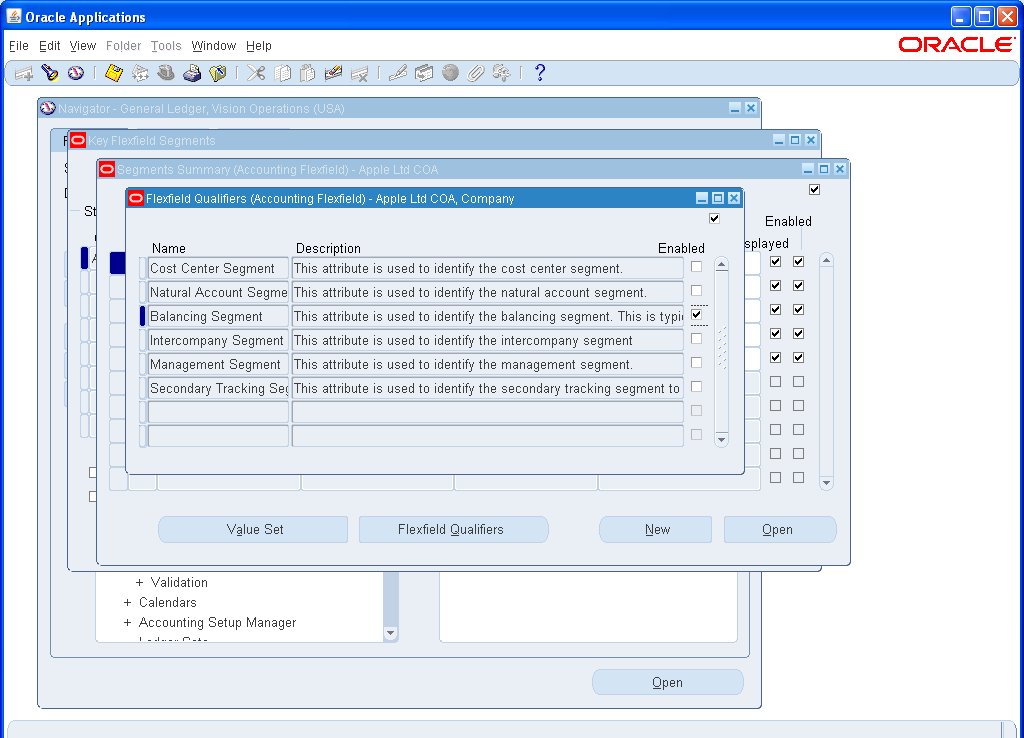Oracle E-Business Suite R12 Financials: Defining Multi Organization