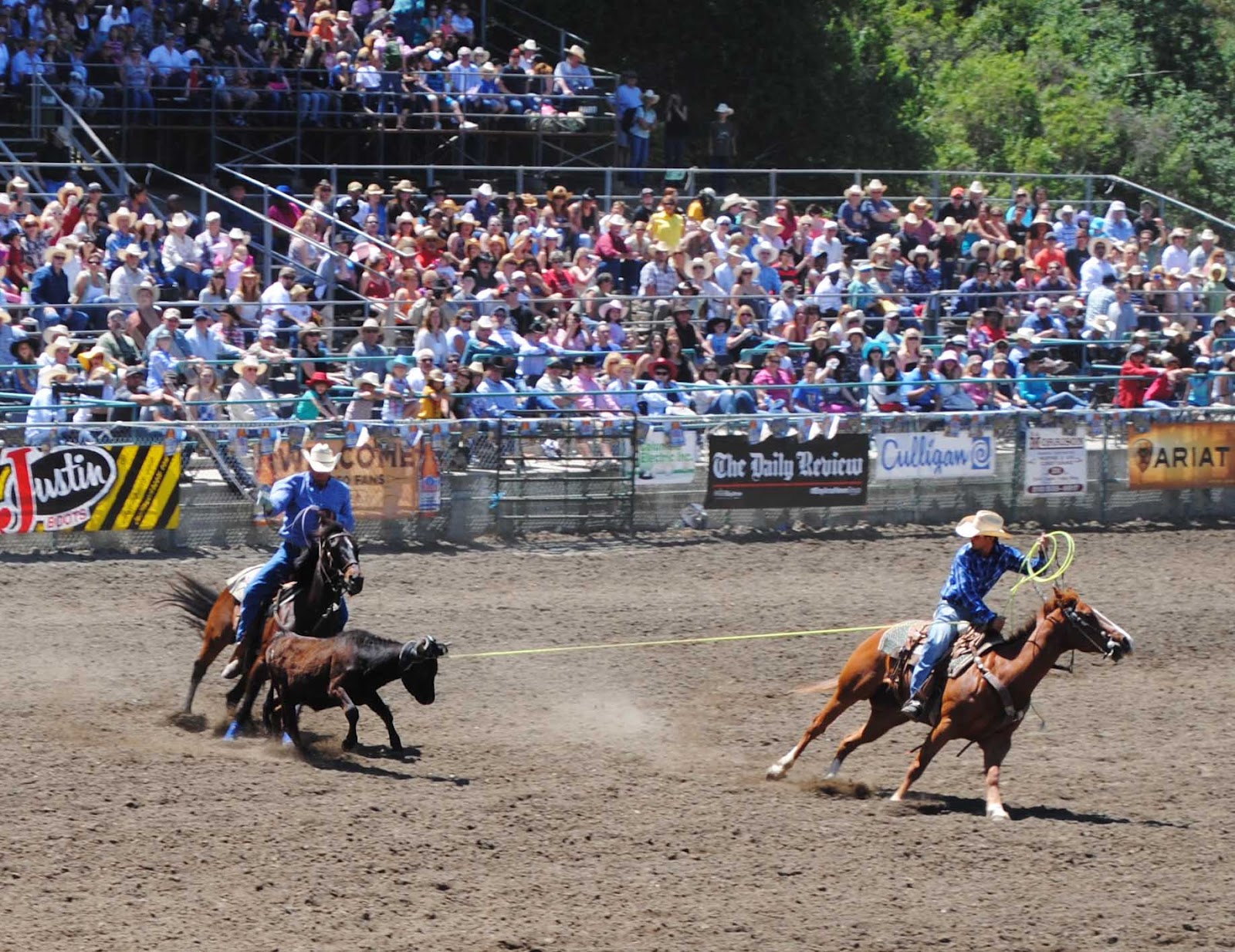 zakka life: My First Rodeo