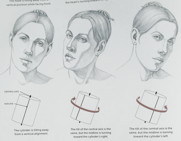 Different Time, Different Place Book Reviews: Classic Human Anatomy in ...