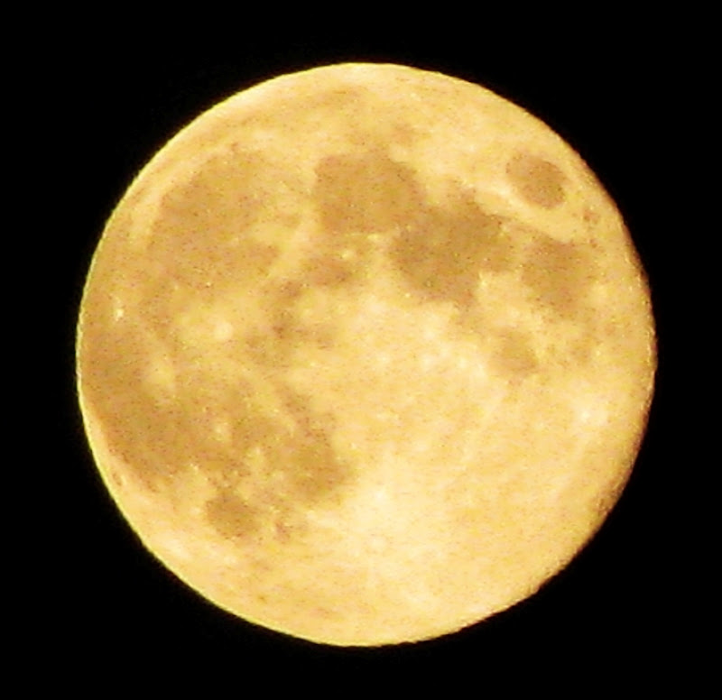 Three Photos Looking Skyward