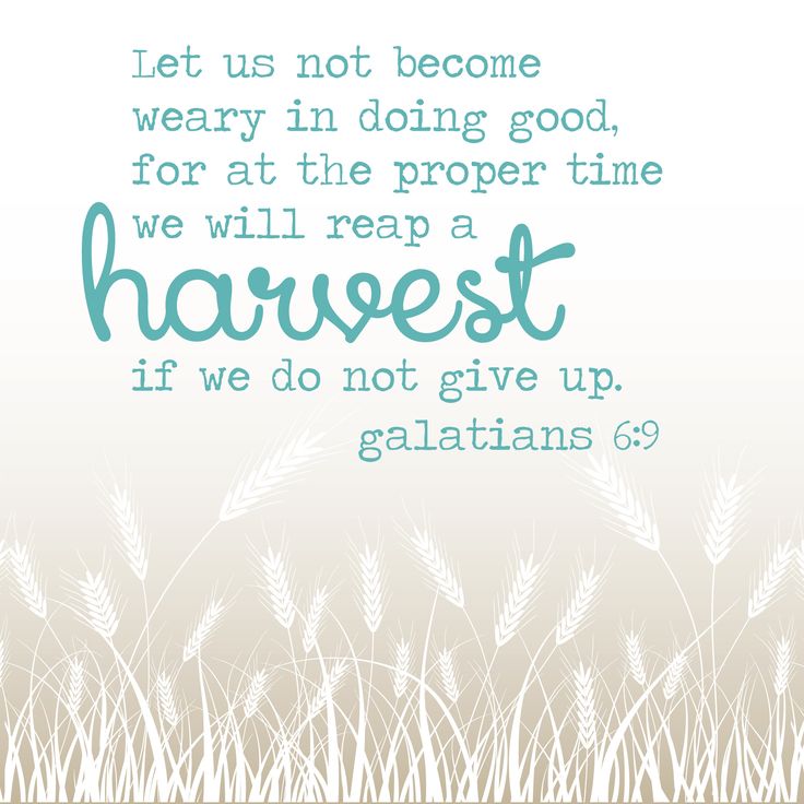 Application of God's Word: And let us not grow weary while doing good ...