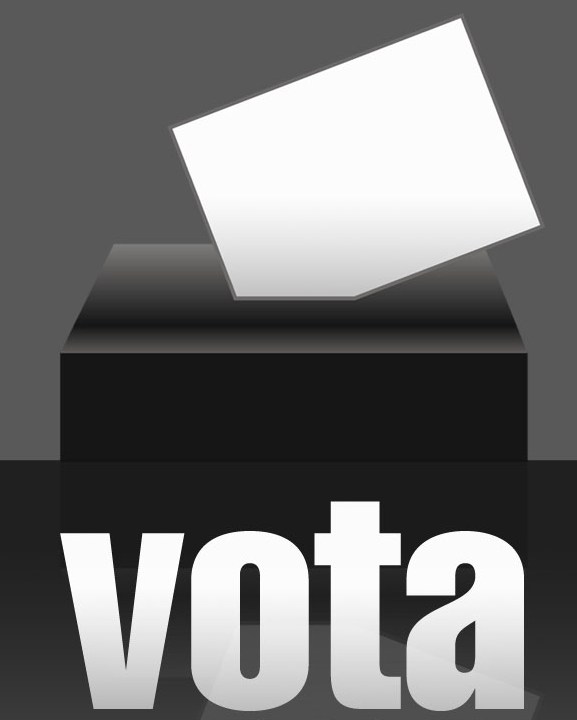 El Señor X: Neuronas... para qué os quiero?! (XXII): para VOTAR