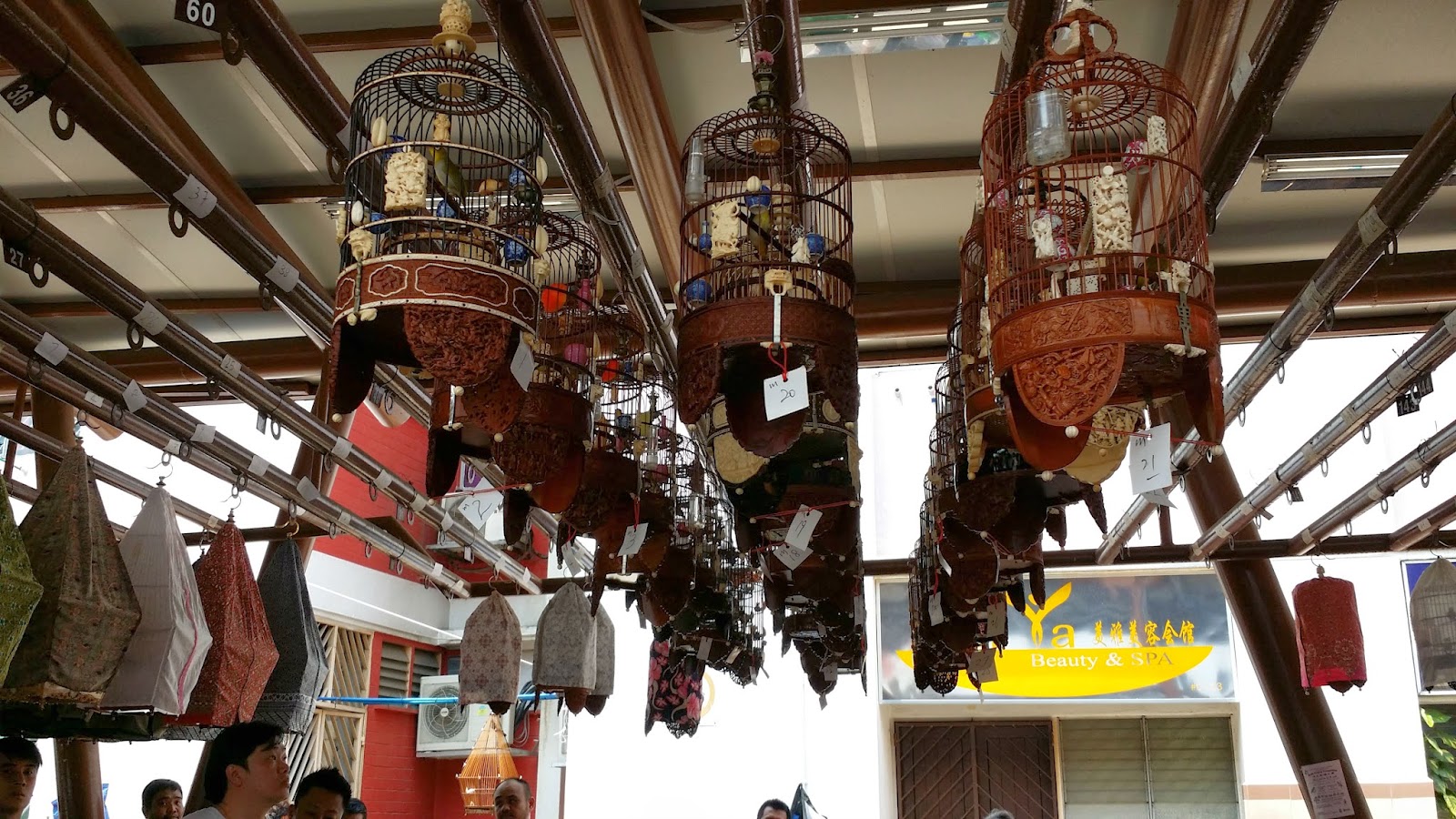 Mata Puteh : Mata Puteh Birds Singing Competition @ Serangoon North