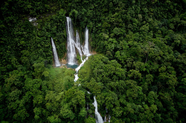 Fotógrafo Stephen Alvarez - PL Prensa