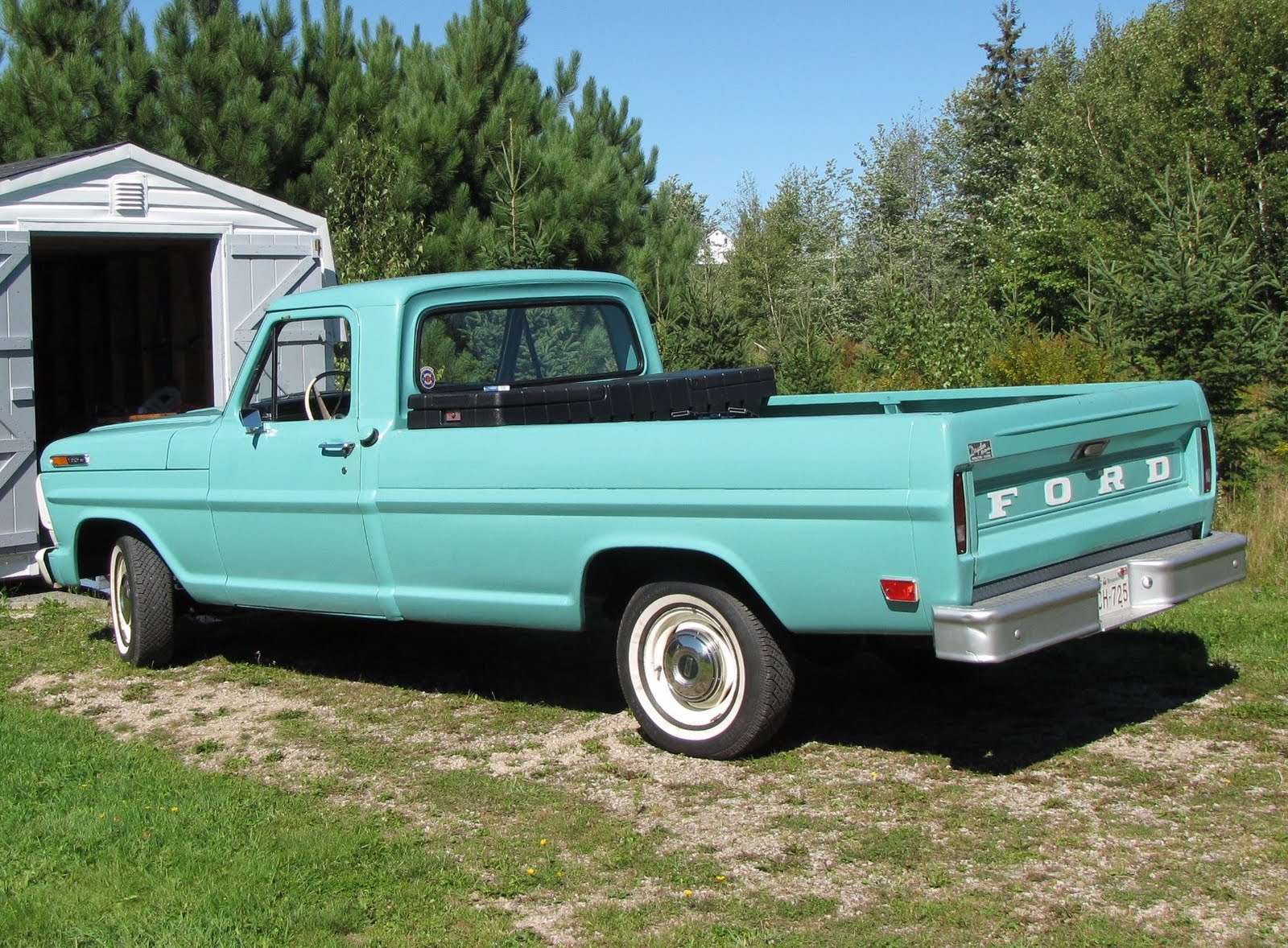 Wildflowers: 1968 ~ Lunar Green